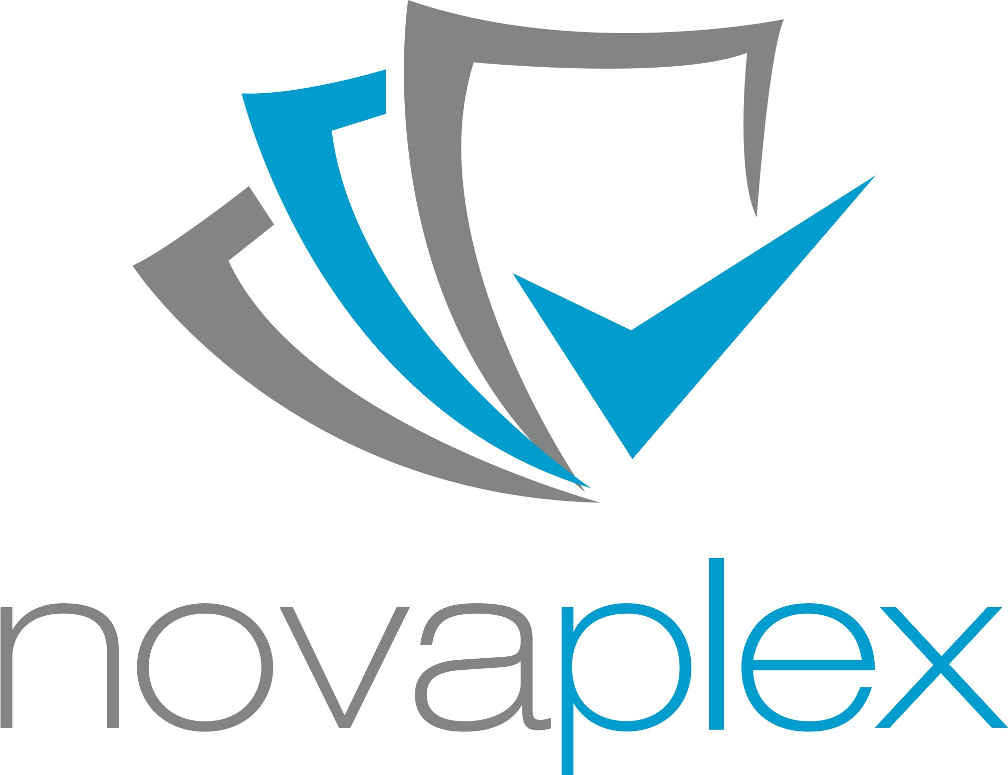Networking Essex
